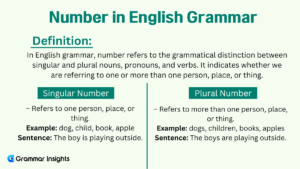 Number in English Grammar: Types, Rules and Examples