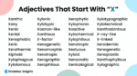 Adjectives That Start With X
