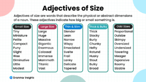 Adjectives of Size: Definition, Categorization, and Examples